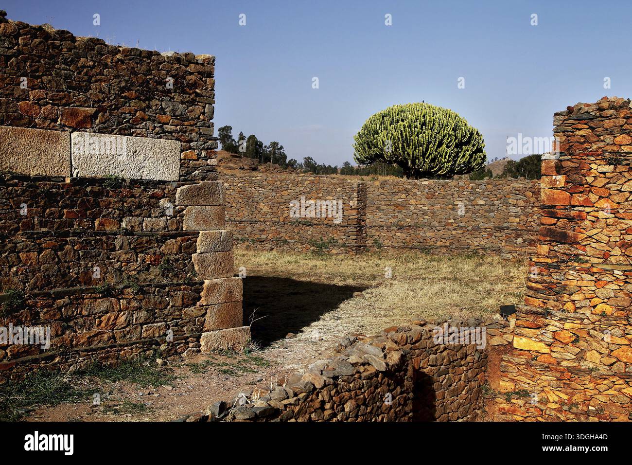 Stone palace of the Queen of Sheba in Axum shows ancient architecture ...