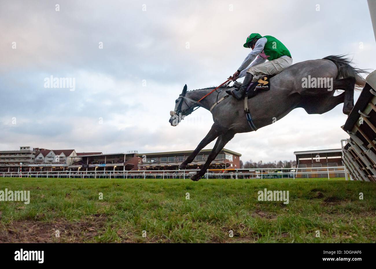 Haydock Park, UK, Saturday 17th January 2026; Judicial Deference ...
