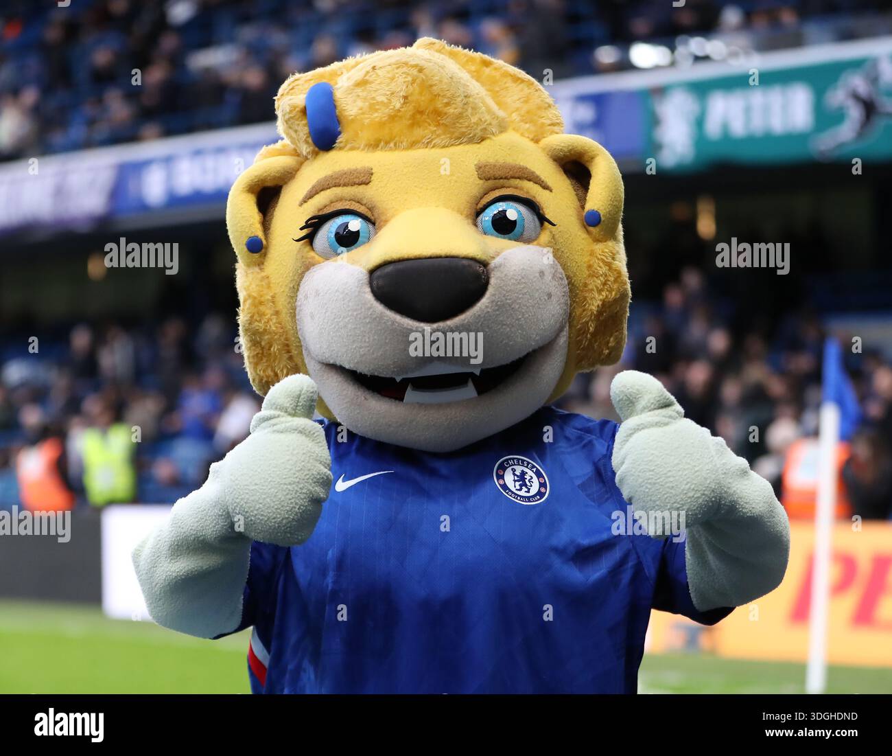 17th January 2026; Stamford Bridge, Chelsea, London, England: Premier ...