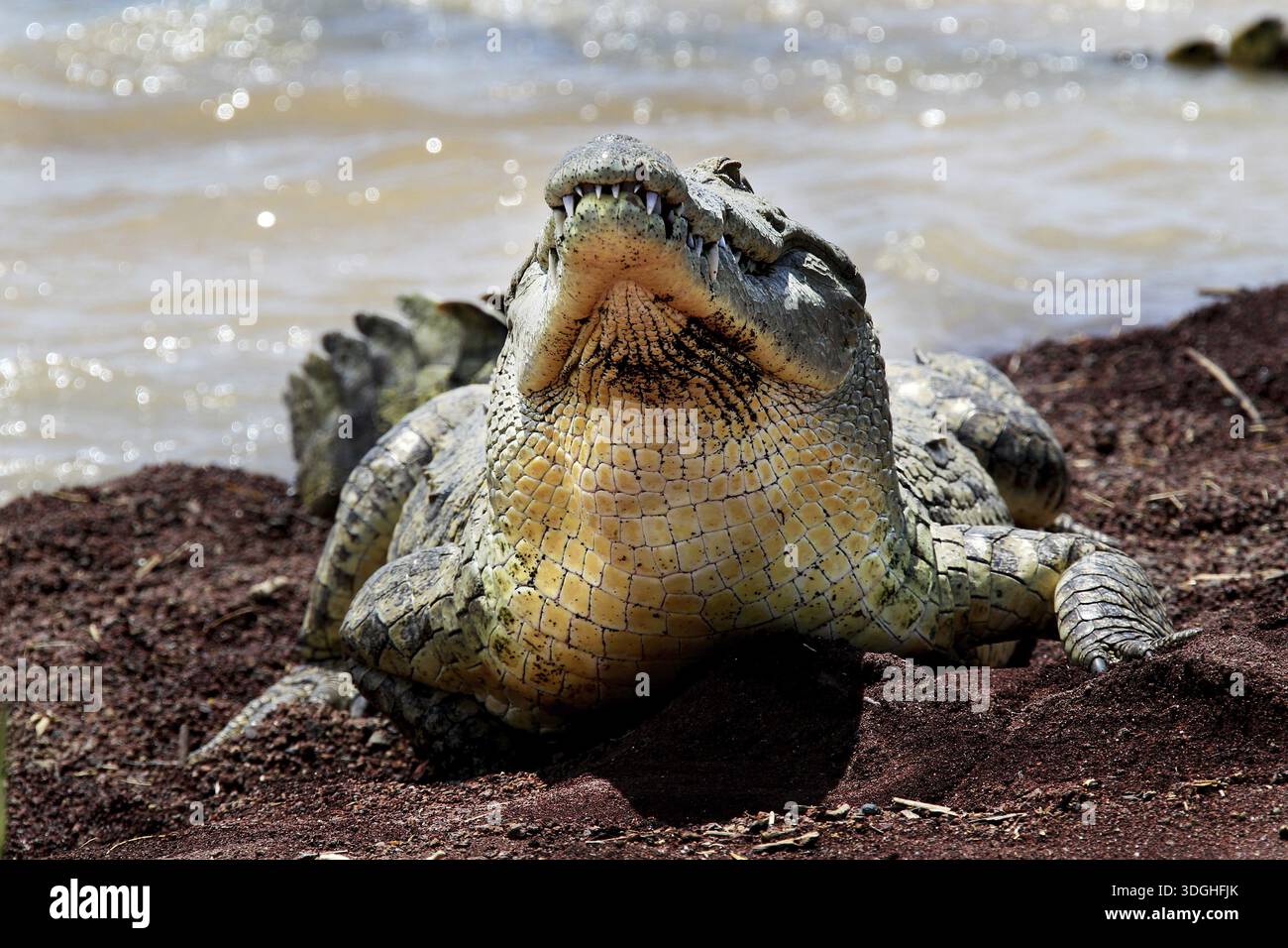 Open data africa hi-res stock photography and images - Alamy