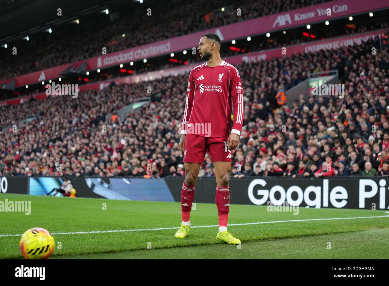 Liverpool's Cody Gakpo looks on during the English Premier League ...