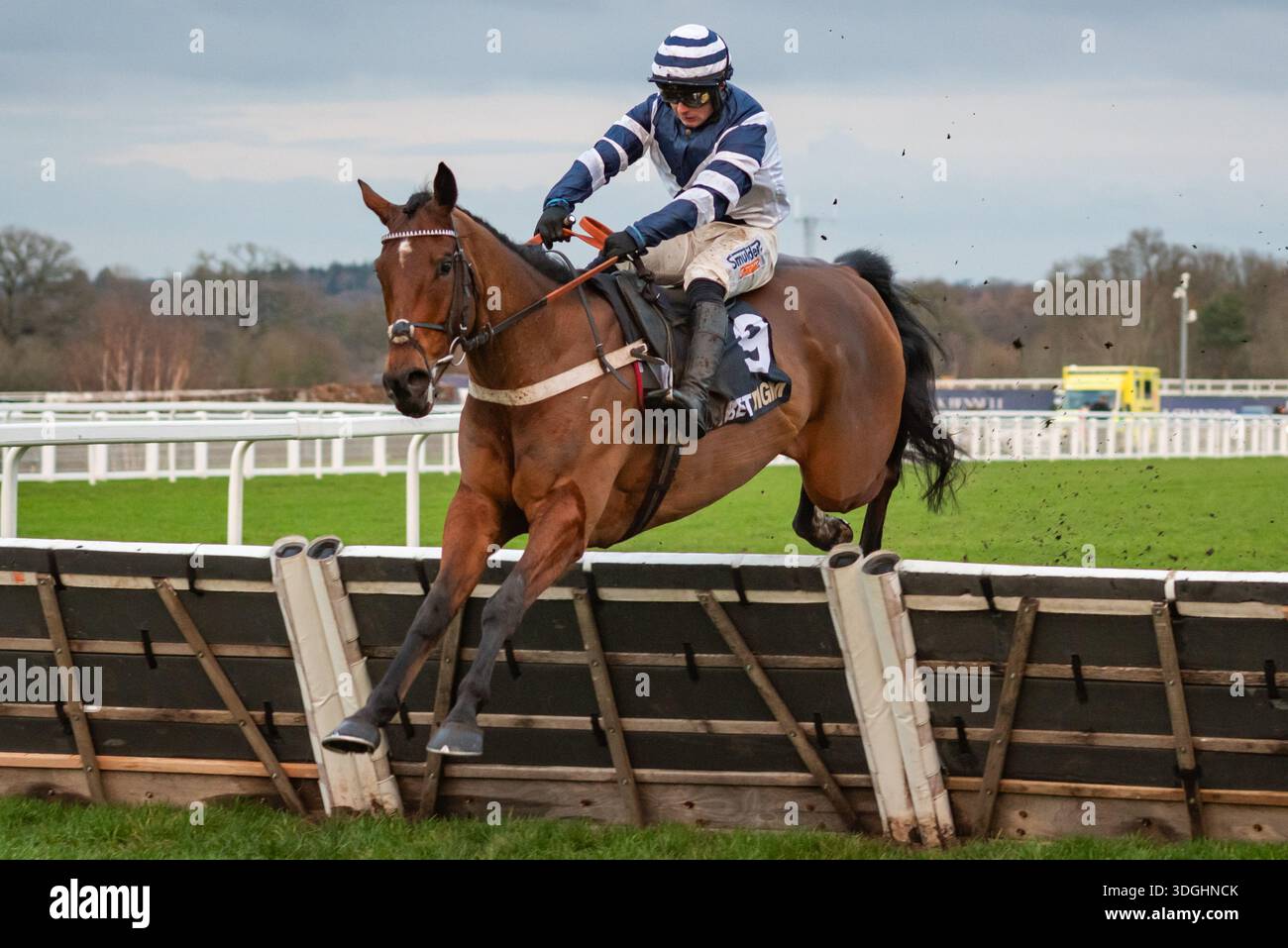 Ascot, UK, Saturday 17th January 2026; Whiskey Yankee and jockey Dylan ...