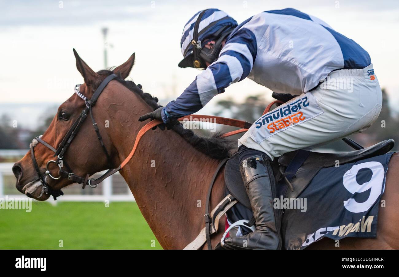 Ascot, UK, Saturday 17th January 2026; Whiskey Yankee and jockey Dylan ...