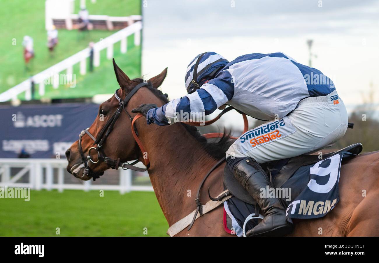 Ascot, UK, Saturday 17th January 2026; Whiskey Yankee and jockey Dylan ...