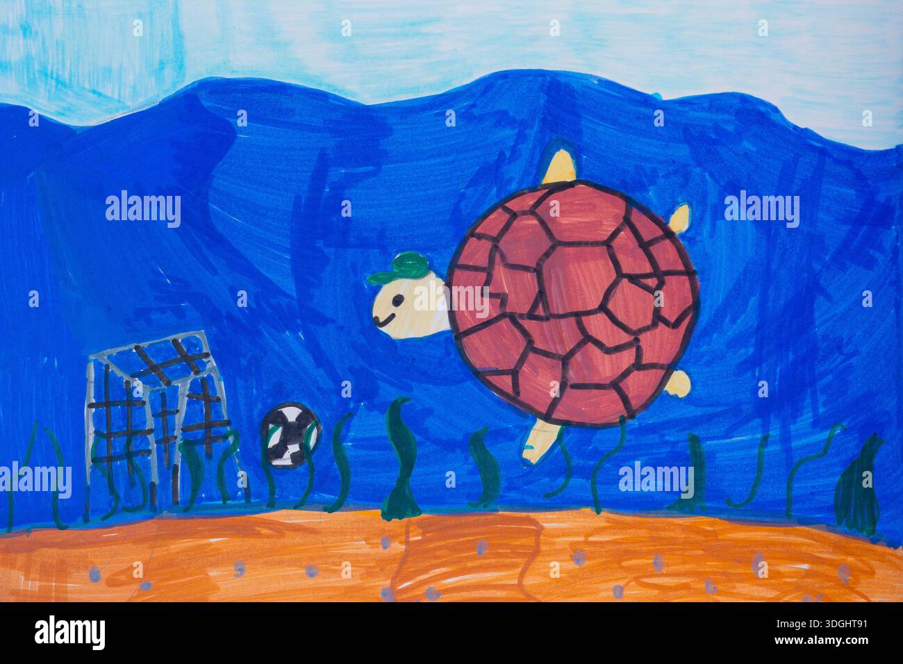 Underwater football, turtle in action Stock Photo - Alamy