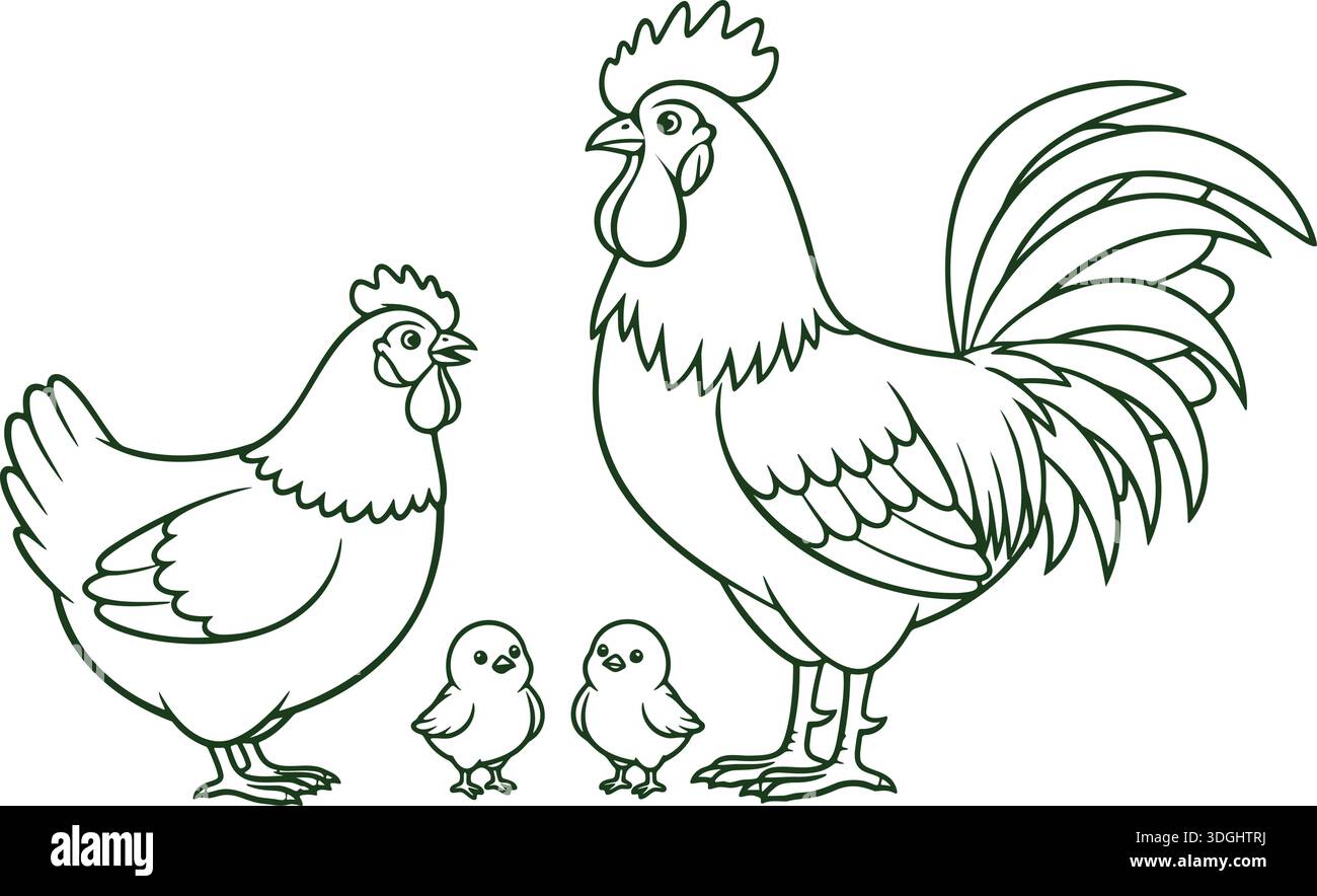 Chicken Line Art Outline Farm Animal Vector Stock Vector Image & Art ...
