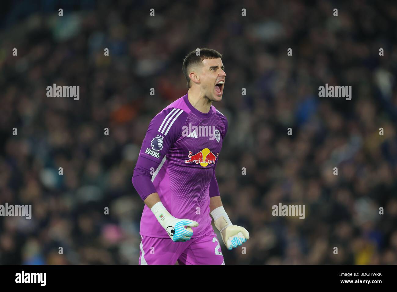 Leeds United's goalkeeper Karl Darlow during the Premier League match ...