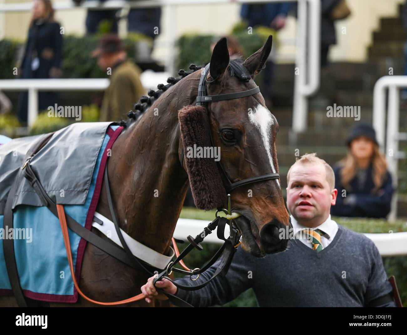 Ascot, UK. 17 January, 2026. Jonbon before the The BetMGM Clarence ...