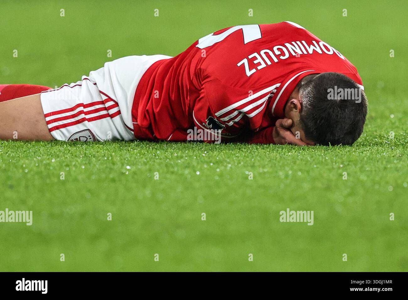 Nicolas Dominguez of Nottingham Forest takes a knock during the Premier ...