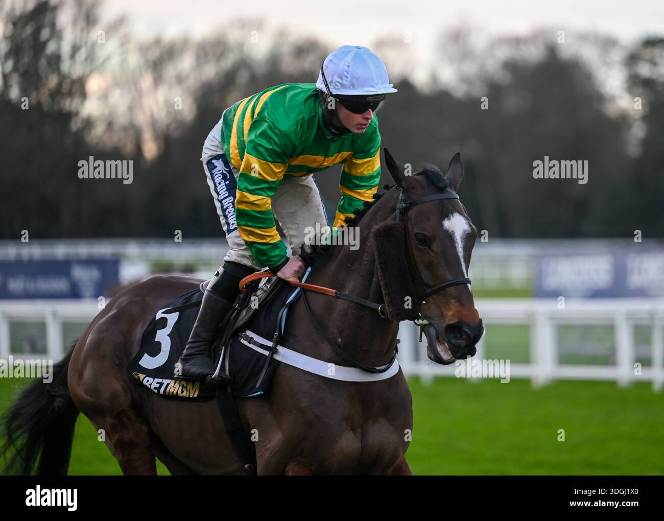 Ascot, UK. 17 January, 2026. Jonbon before the The BetMGM Clarence ...
