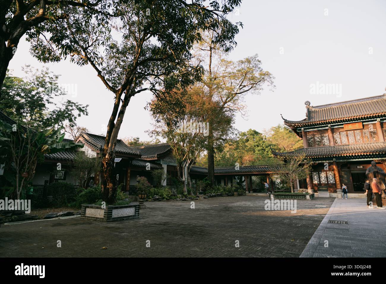 Traditional Chinese Courtyard with Ancient Architecture and Trees ...