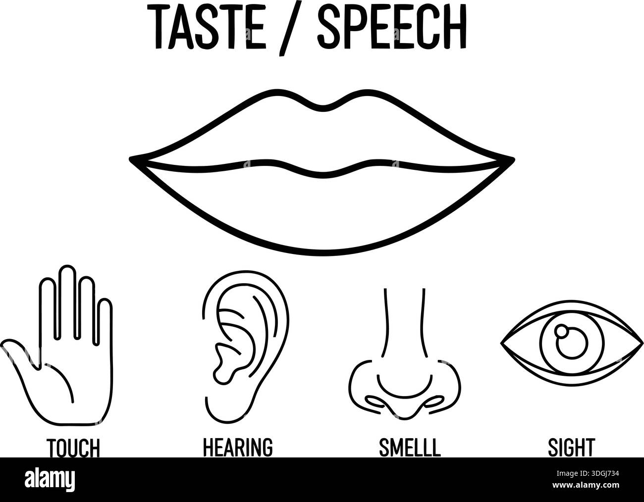 Vision smell Black and White Stock Photos & Images - Alamy