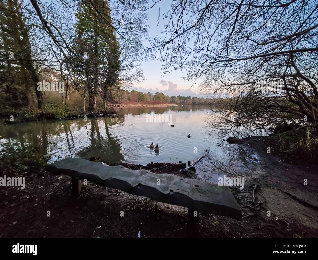Newton Abbot, UK. 17th Jan, 2026. A look around Stover Country Park in ...
