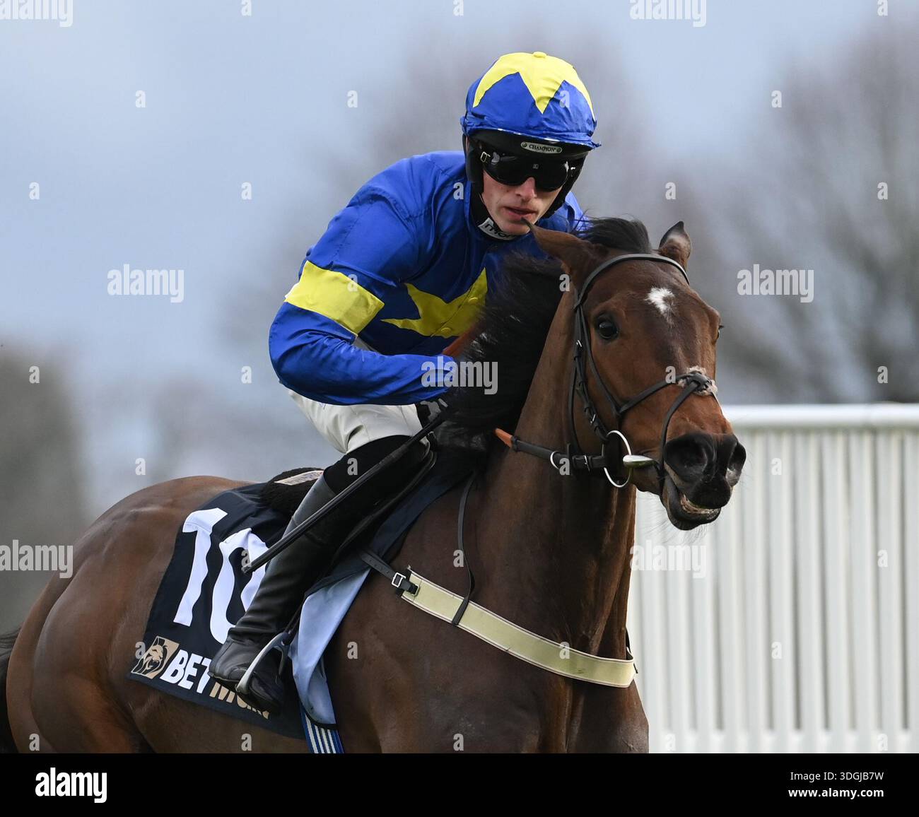 Ascot, UK. 17 January, 2026. Winston Junior ridden by Harry Cobden and ...