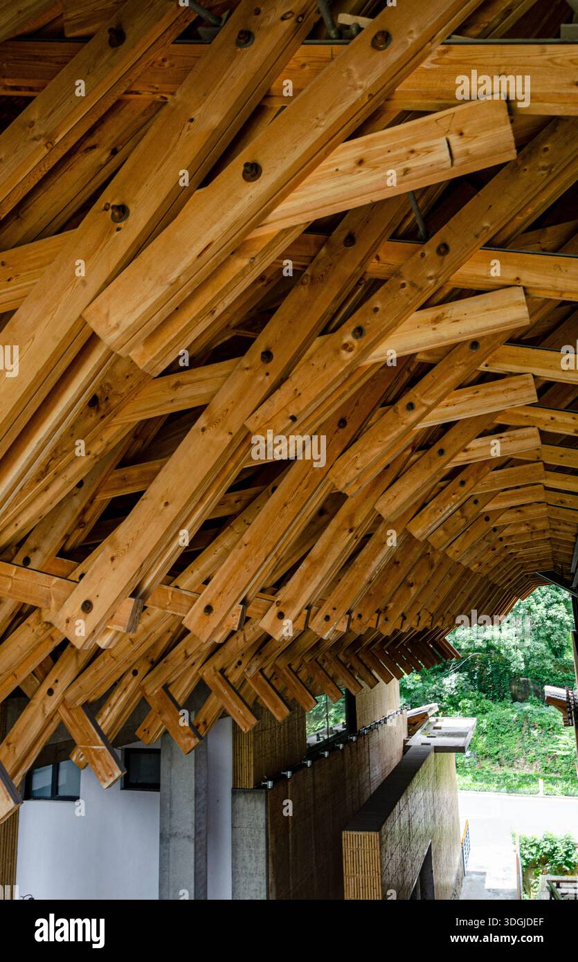 Looking up at a highly complex interlocking timber roof structure. The ...