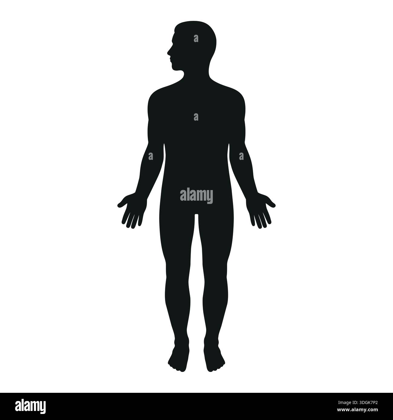 Fashion figure male design Stock Vector Images - Alamy