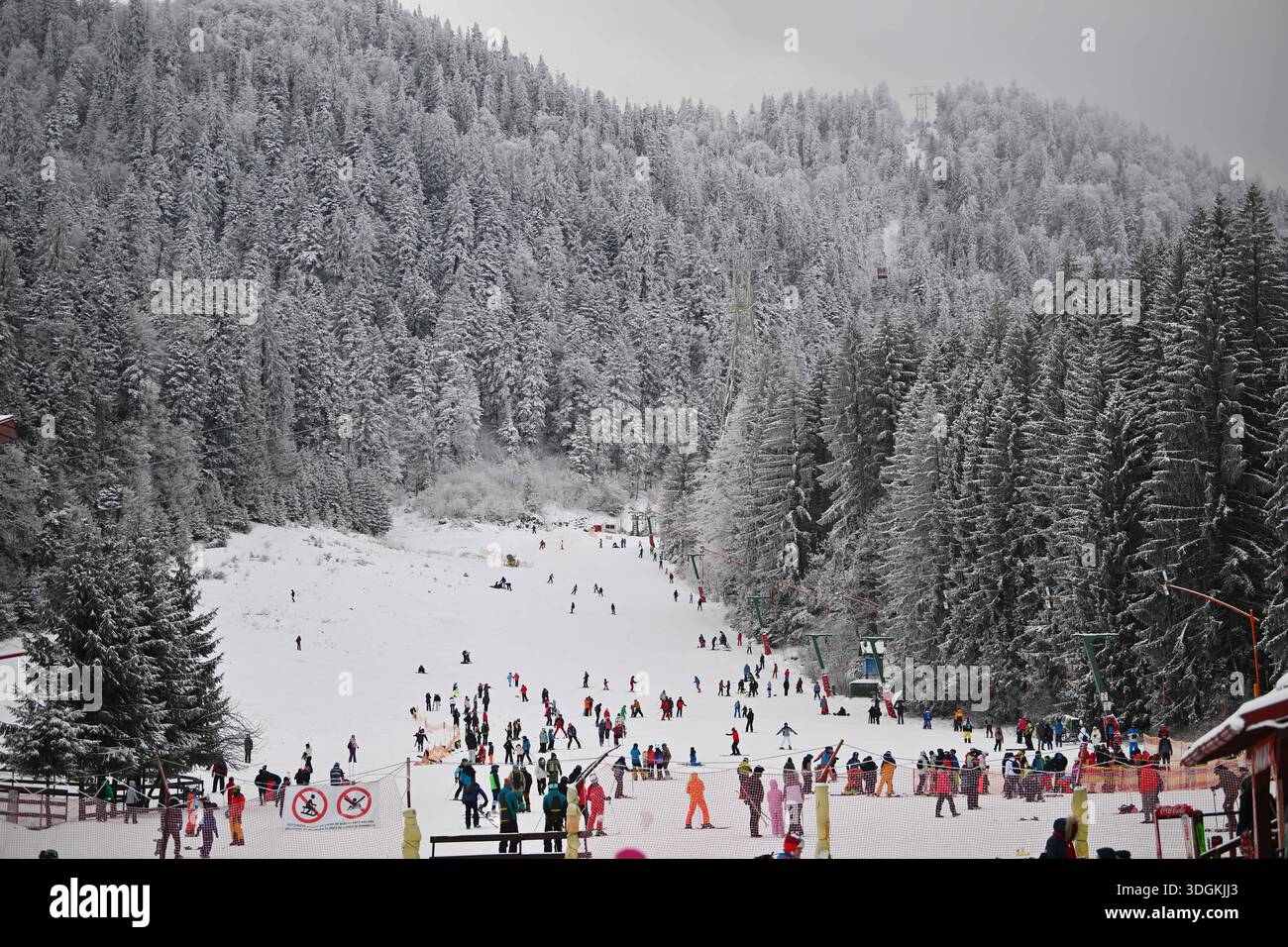 BRASOV, winter Poiana Brasov ski resort has been full of tourists and ...