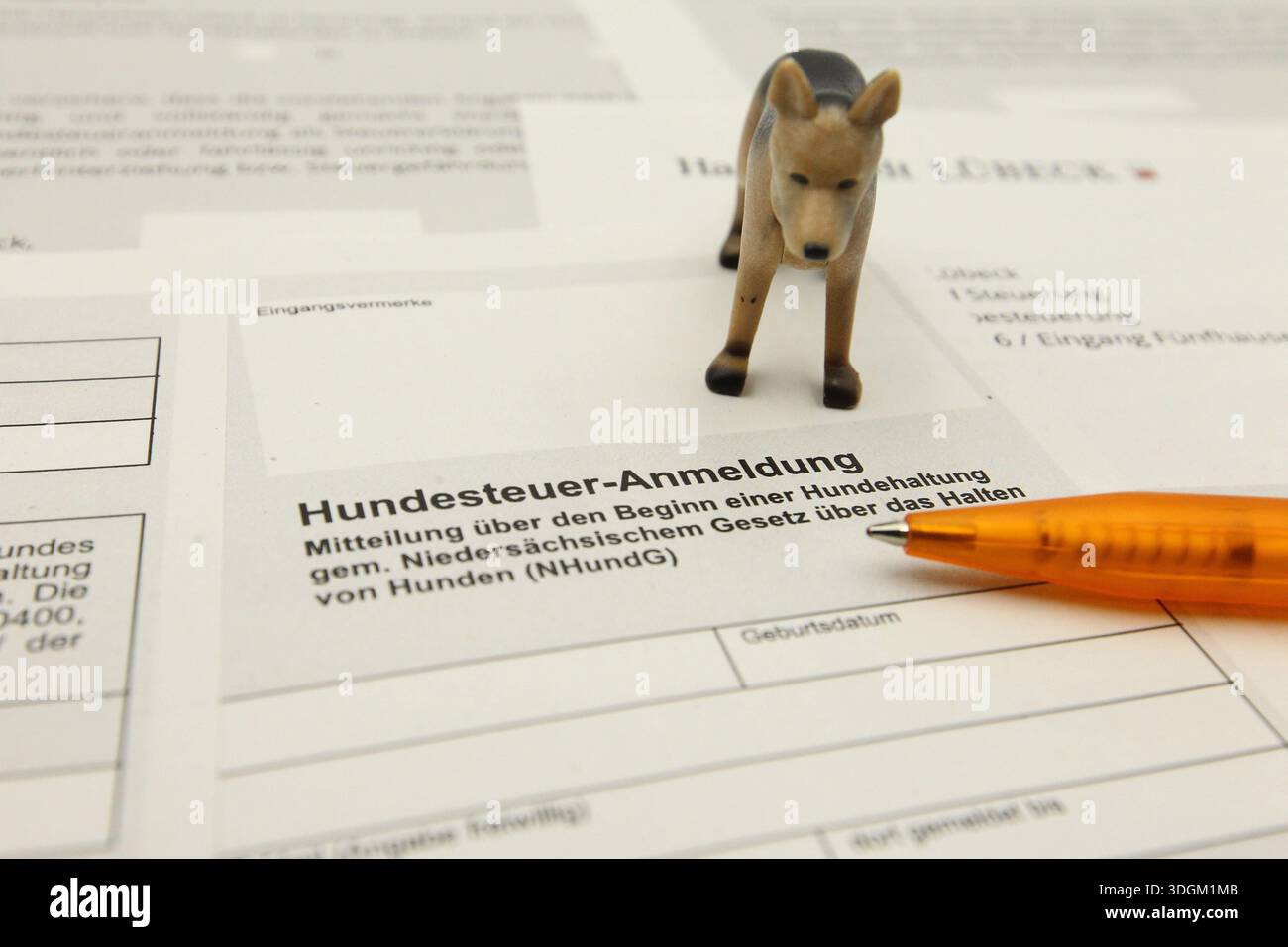 Auf einem Schreibtisch liegen Mantelbögen zur Anmeldung zur Hundesteuer ...