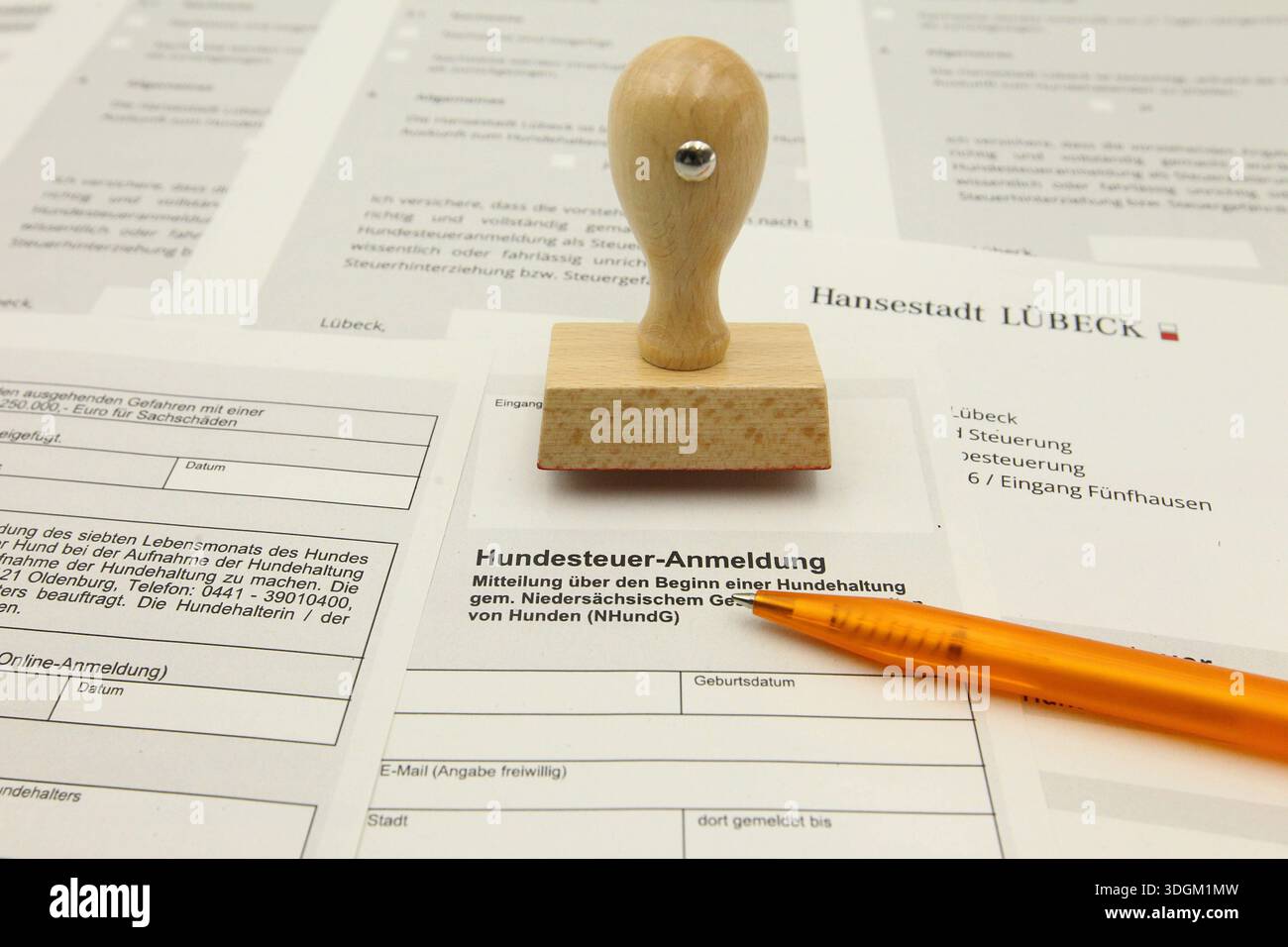 Auf einem Schreibtisch liegen Mantelbögen zur Anmeldung zur Hundesteuer ...
