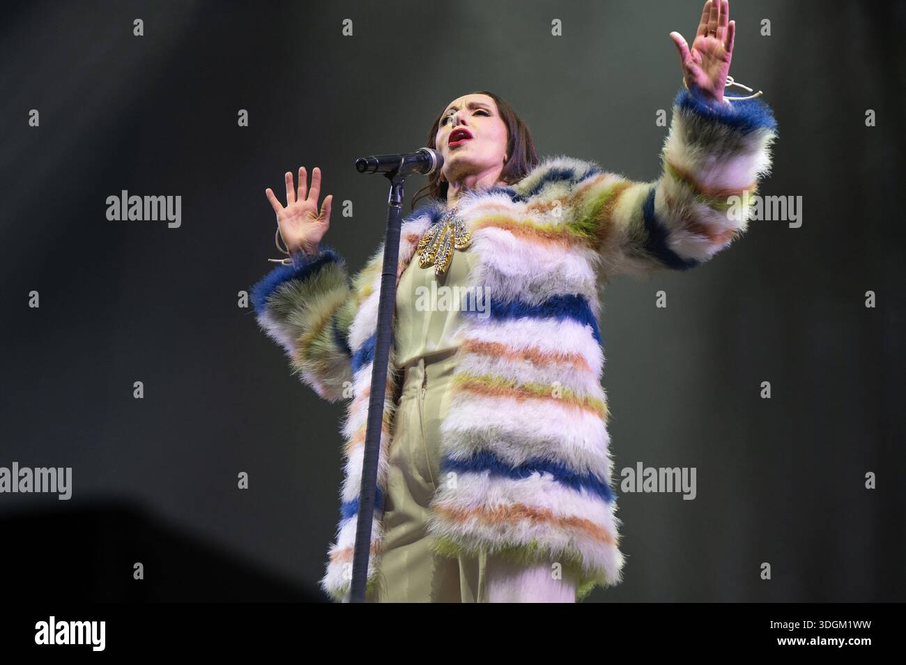 The singer Luz Casal performs during her performance festival INVERFEST ...