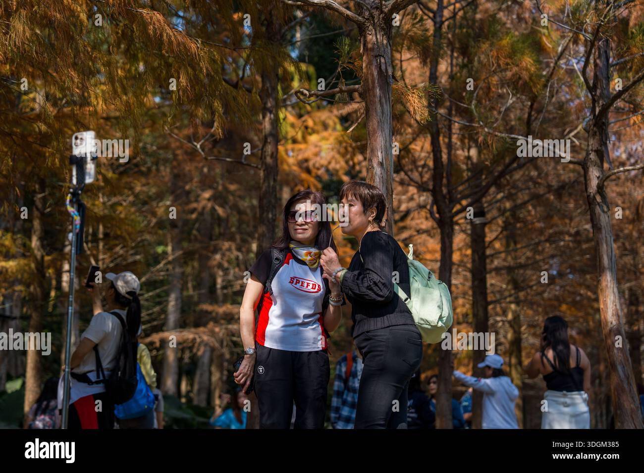 People posing for photos with tress with yellow, orange, and reddish ...