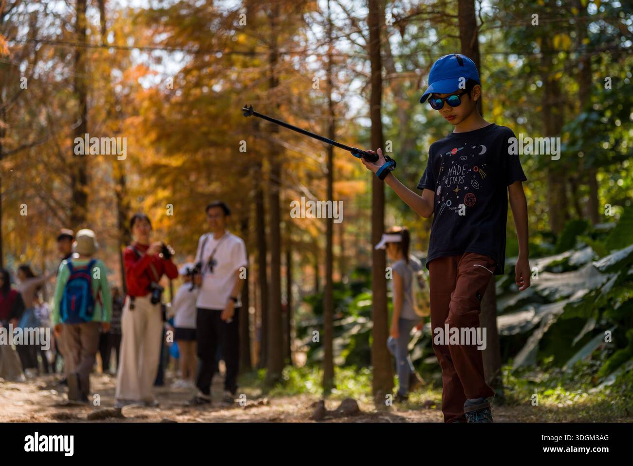 A boy holding a hiking stick next to tress with yellow, orange, and ...