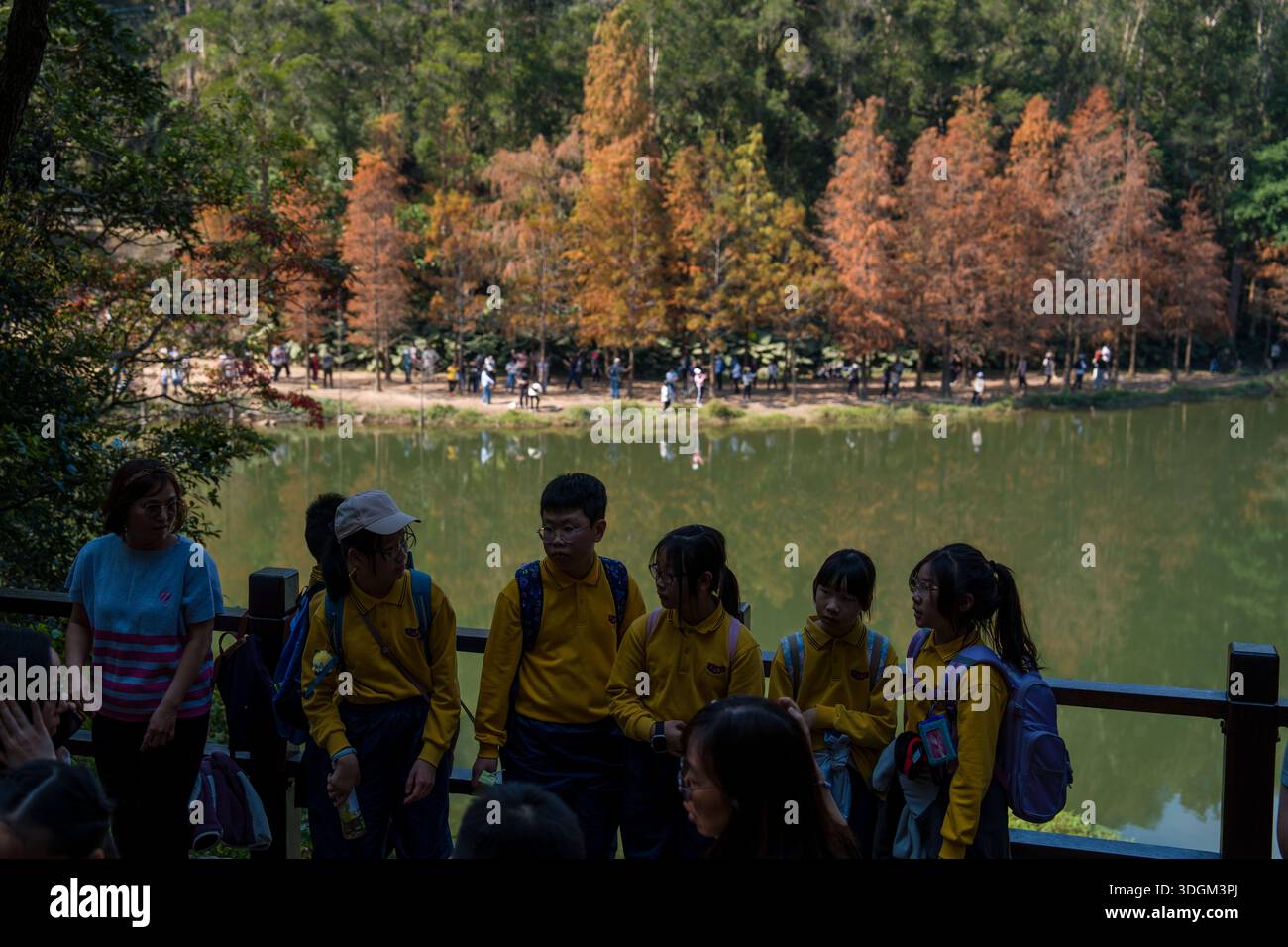 Students posing for photos with tress with yellow, orange, and reddish ...