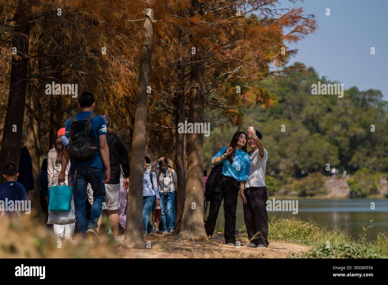 Visitors looking at trees with yellow, orange, and reddish-brown leaves ...