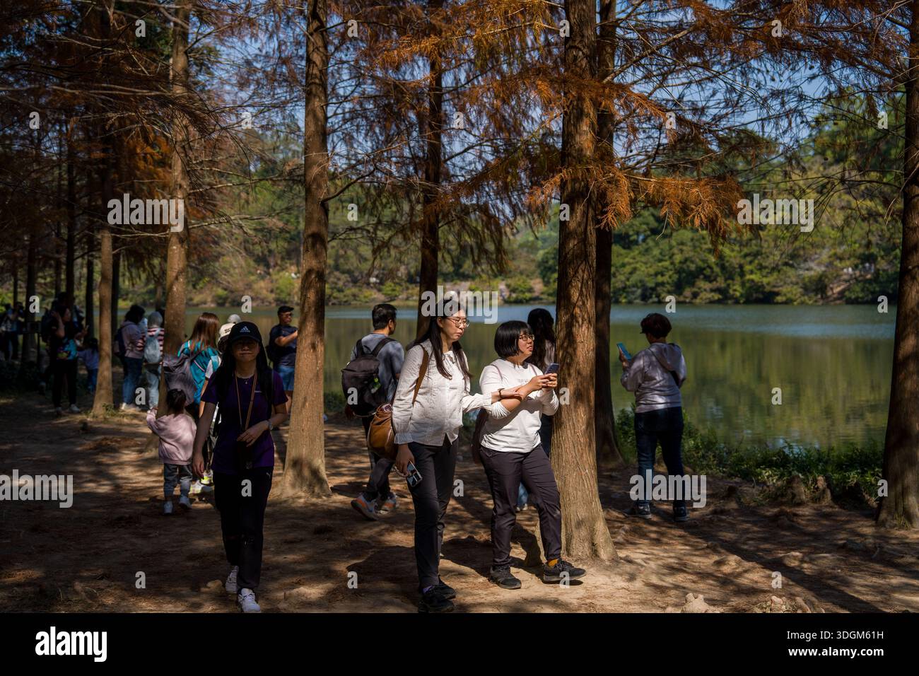 Visitors looking at tress with yellow, orange, and reddish-brown leaves ...
