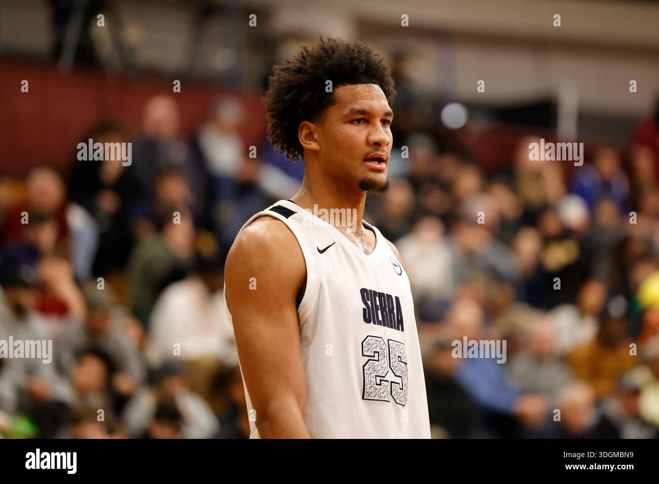 Sierra Canyon Maximo Adams (25) is seen against Christopher Columbus ...