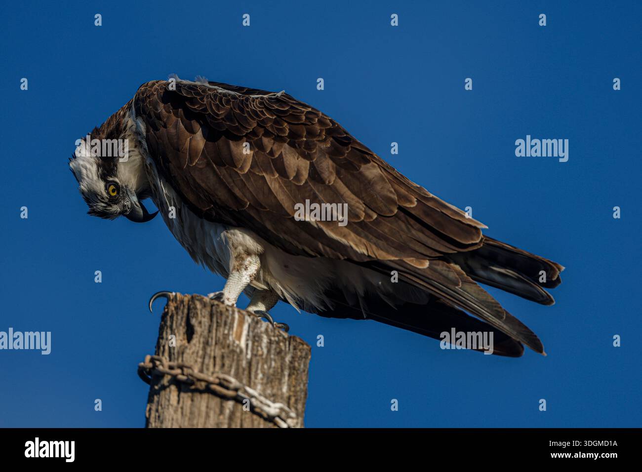 Parte de una estructura hi-res stock photography and images - Alamy