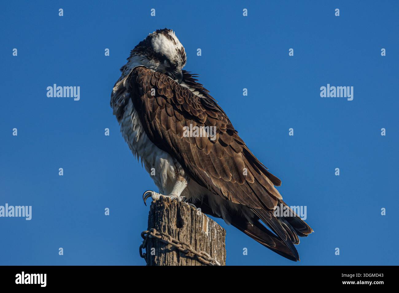 Parte de una estructura hi-res stock photography and images - Alamy