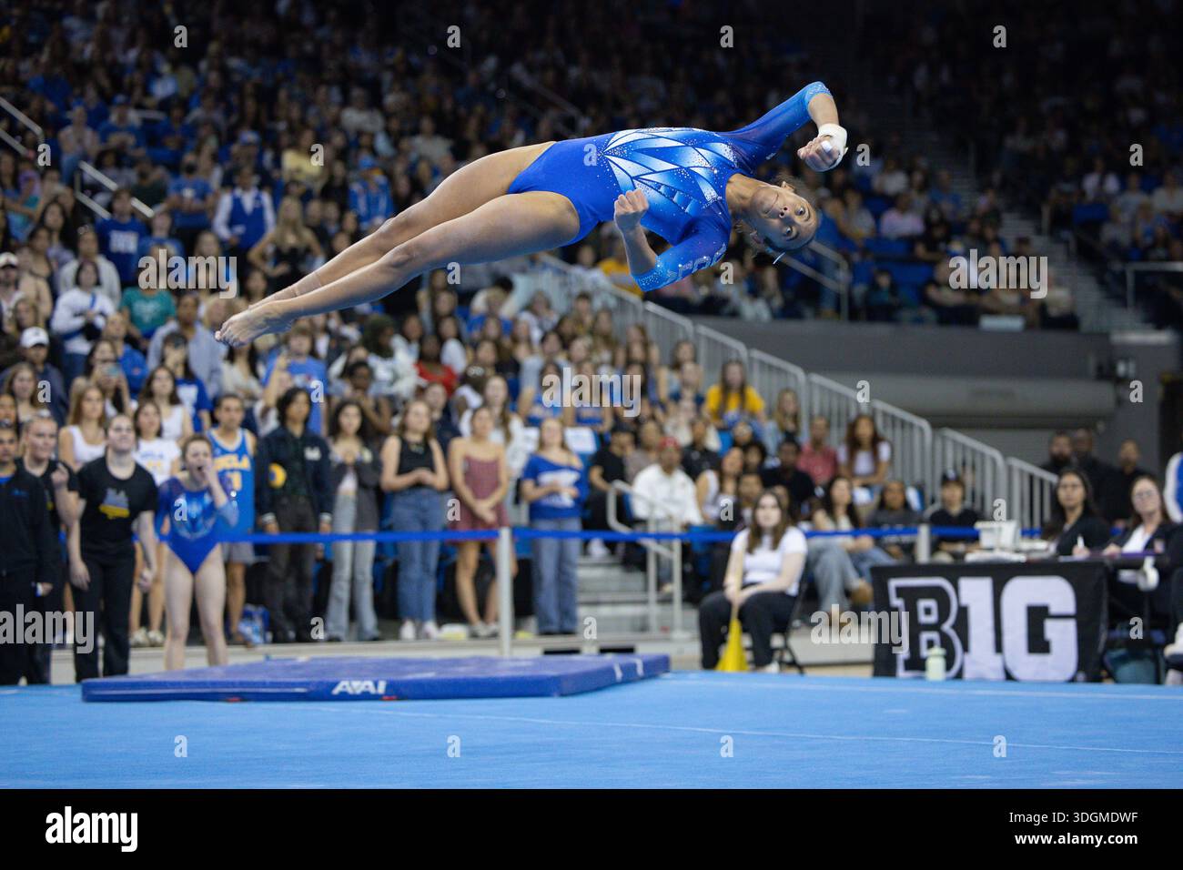LOS ANGELES, CA - JANUARY 17: UCLA Bruins' Mika Webster-Longin competes ...