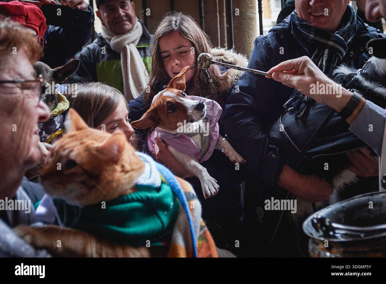 Father César Magaña blesses a dog that came to the Church of Saint ...
