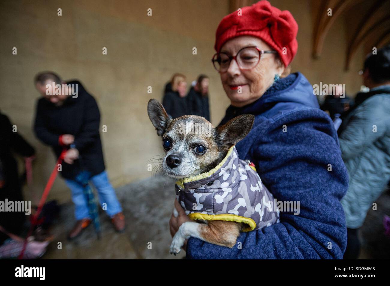 A parishioner waits with her dog to be blessed by the priest at the ...