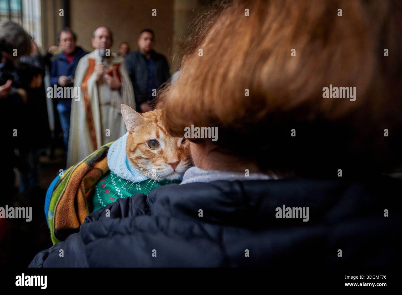 A parishioner brought her cat to the Church of Saint Nicholas in ...