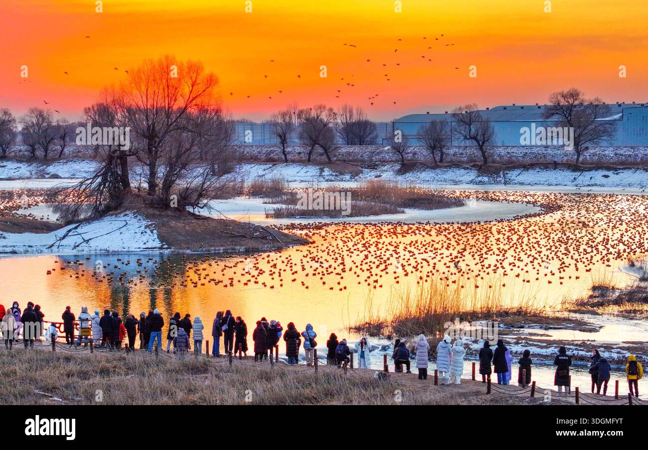 HOHHOT, CHINA - JANUARY 17, 2026 - Tourists watch the sunrise in Dahei ...