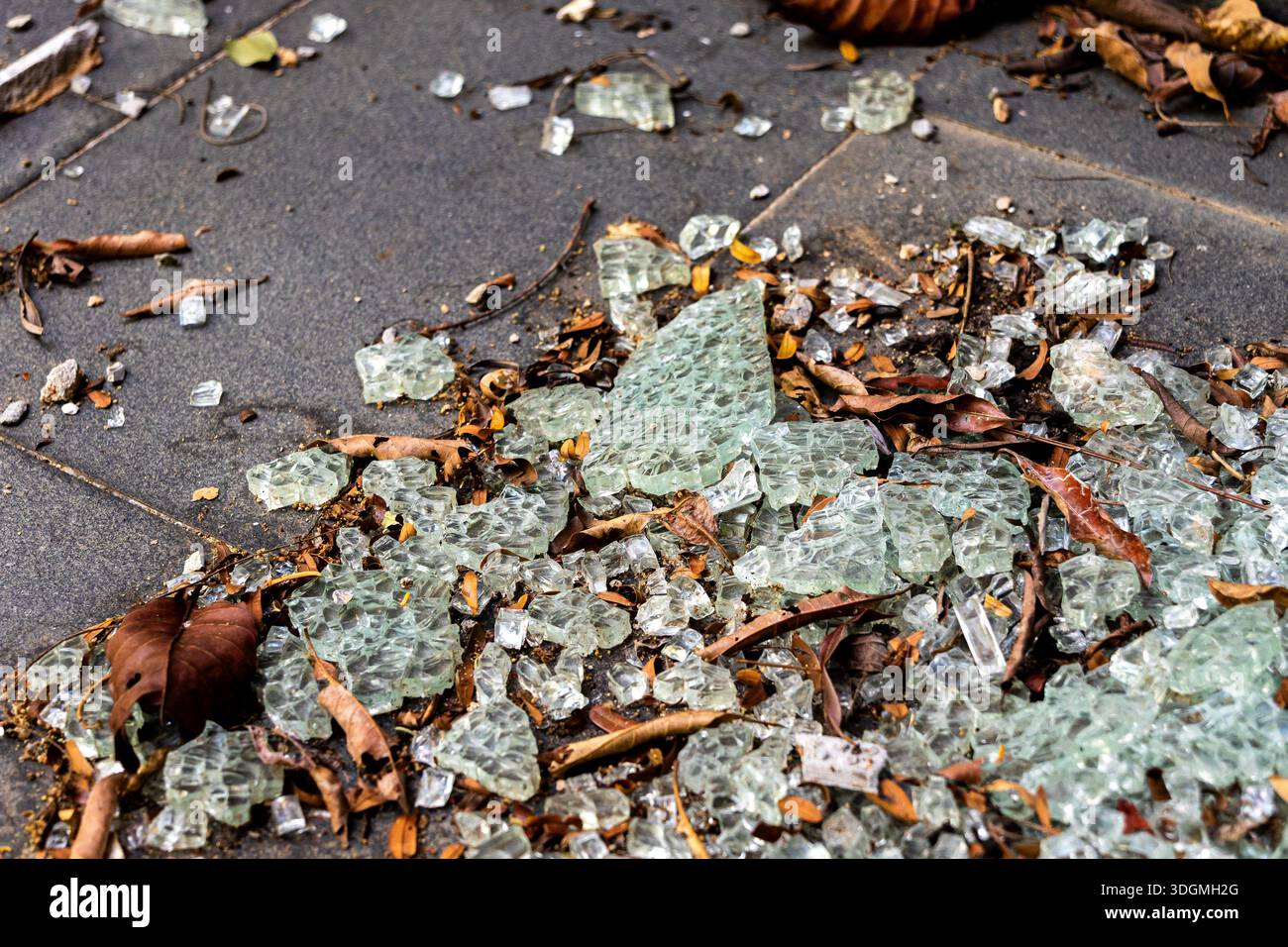 A close-up of glass debris and dry leaves on the ground at Aquarius ...