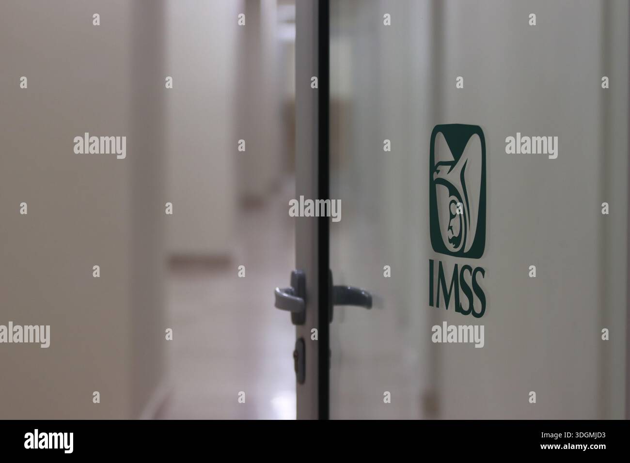 Mexico City, Mexico. 17th Jan, 2026. A IMSS logo is seen during the ...