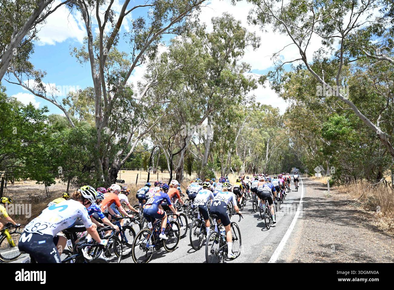 18-01-2026 Tour Down Under Women; Tappa 02 Magill - Paracombe Stock ...