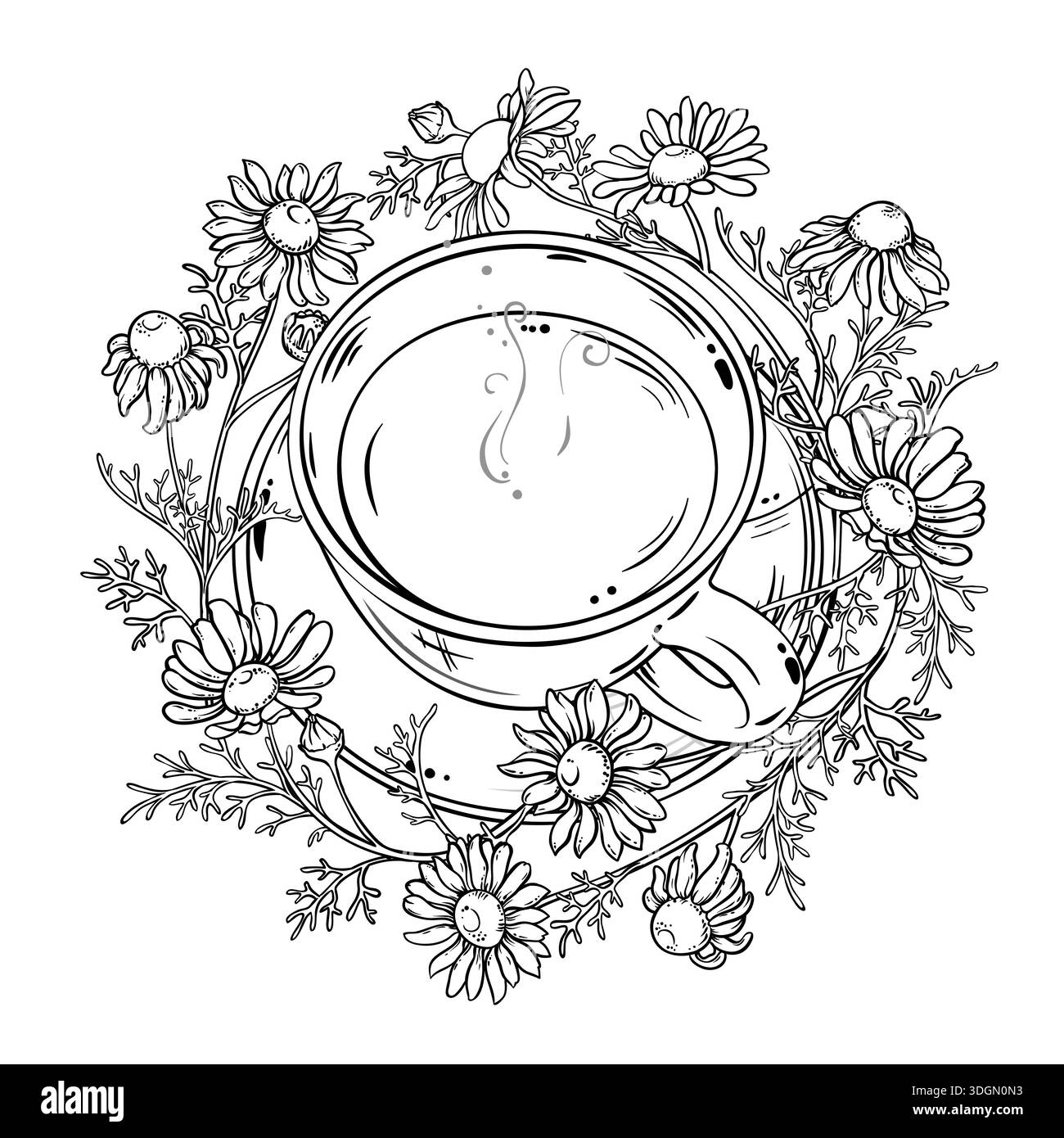 Chamomile herbal tea in Black and White Stock Photos & Images - Alamy