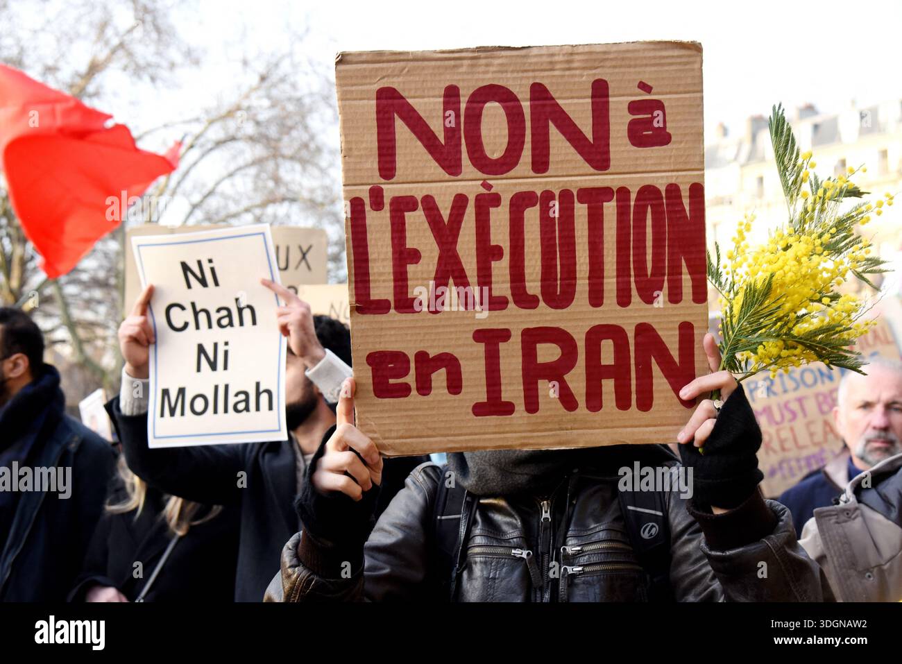 Paris, France. 17th Jan, 2026. Demonstration against Iranian regime ...