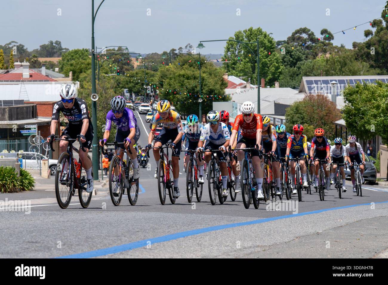 Adelaide, Australia. 18th Jan, 2026. The peloton rides through Lobethal ...