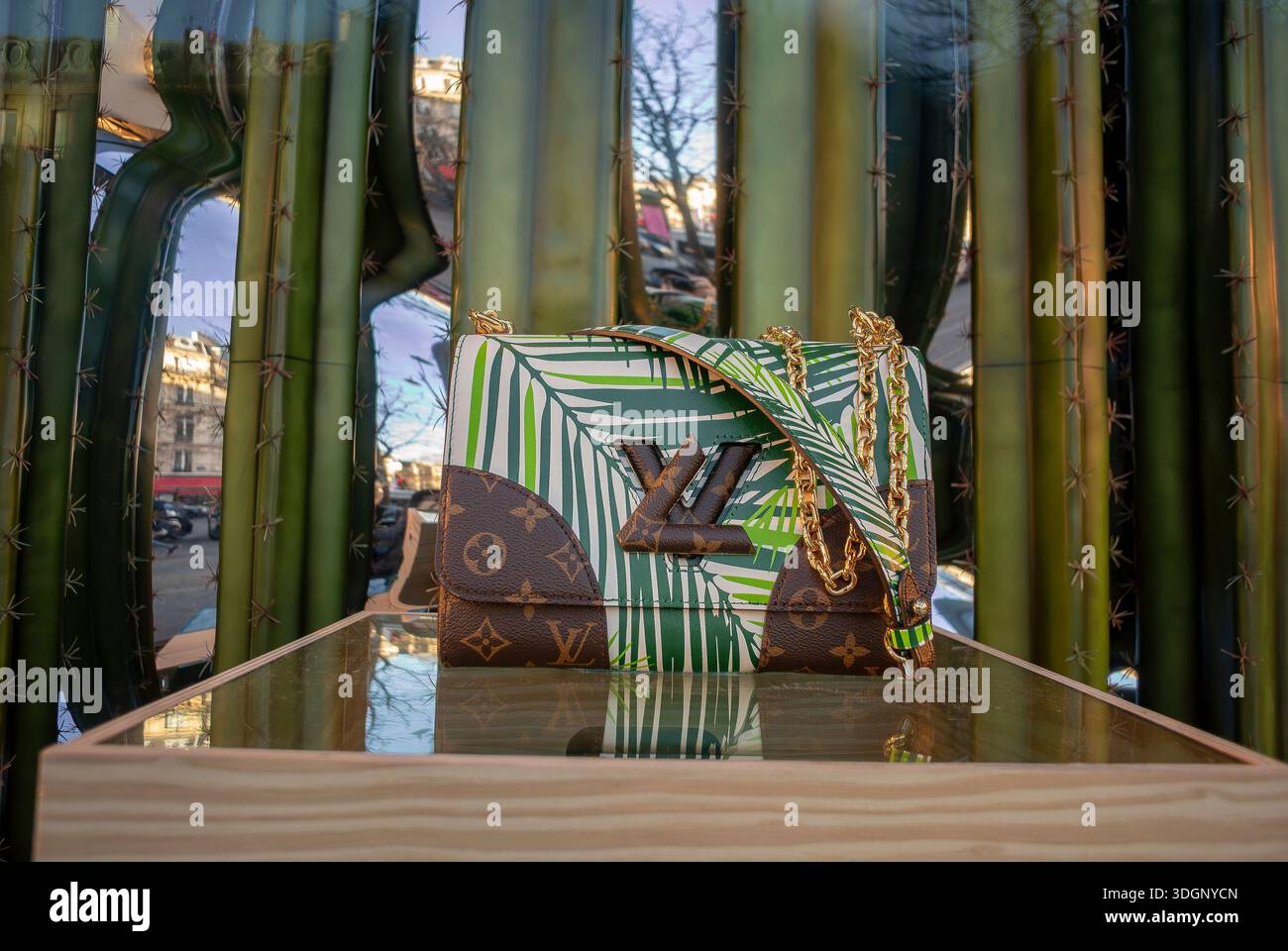 Paris, France, Close up VIew, Louis Vuitton, LVMH, Luxury CLothing ...