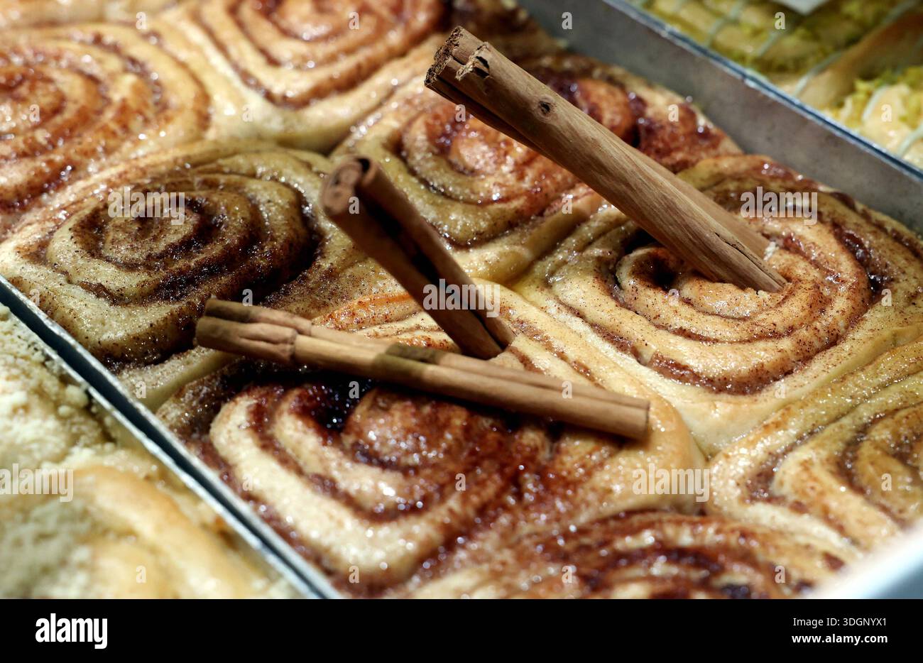 16.01.2026, Berlin - Deutschland. Zimtschnecke mit Zimtstangen garniert ...