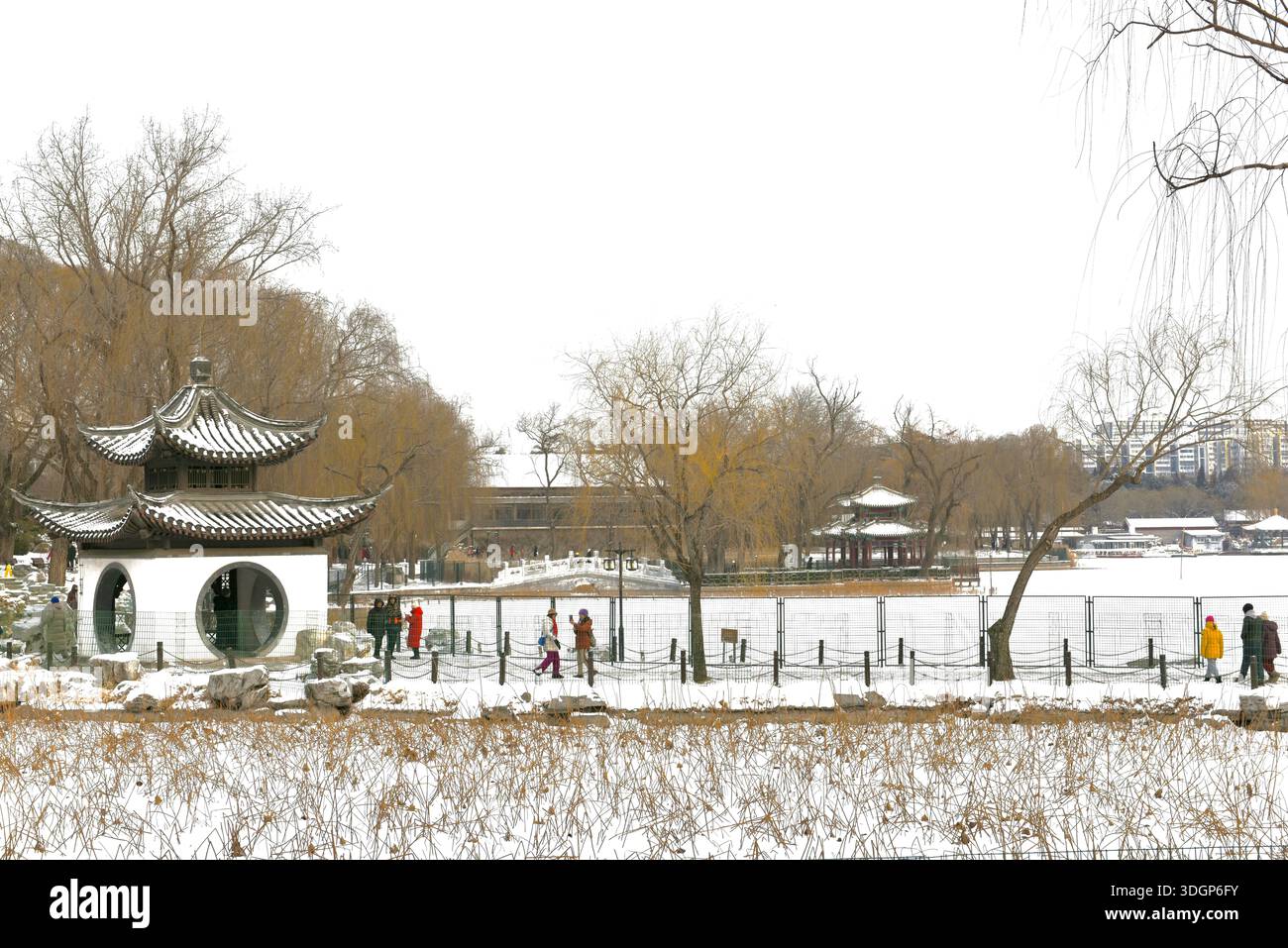 Beijing, China. 18th Jan, 2026. People visit the Taoranting Park after ...