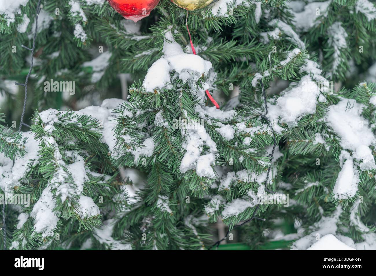 Weighed greenery hi-res stock photography and images - Alamy