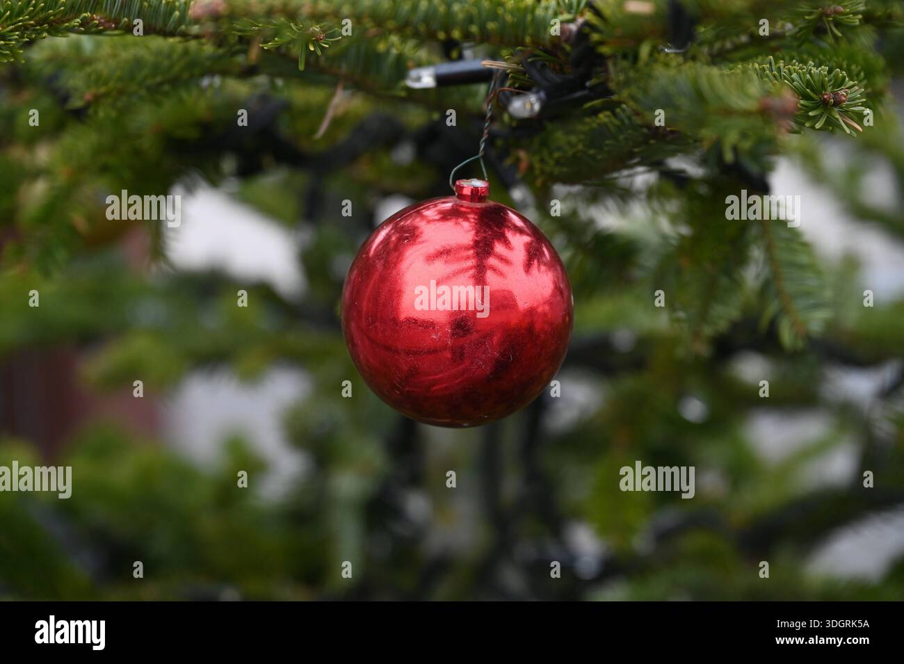 Tannenbaum Ast mit Weihnachtskugel Weihnachtsschuck, Christbaumkugel ...