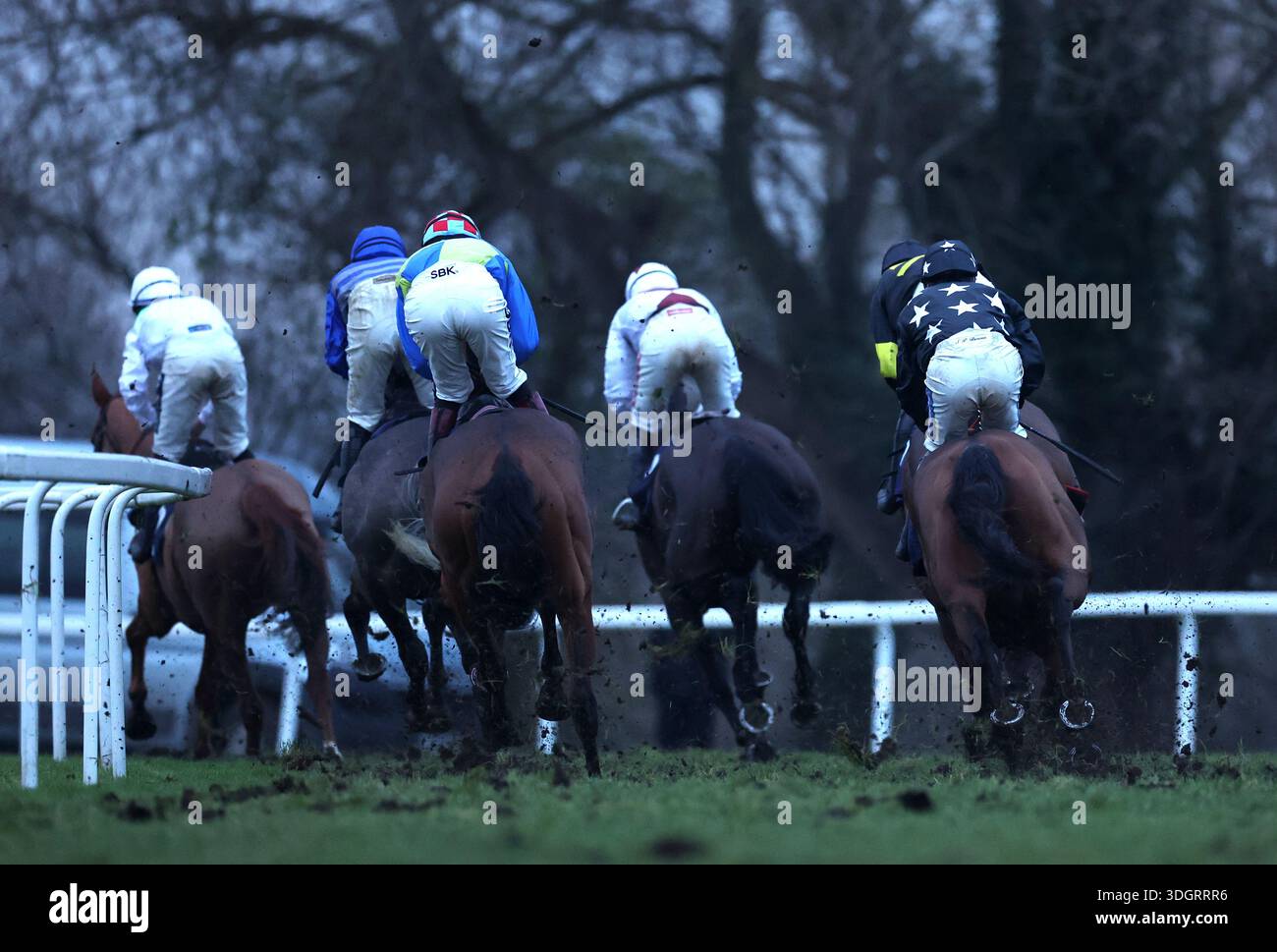 Runners and riders in the Dave Marley RIP You Legend Open National Hunt ...