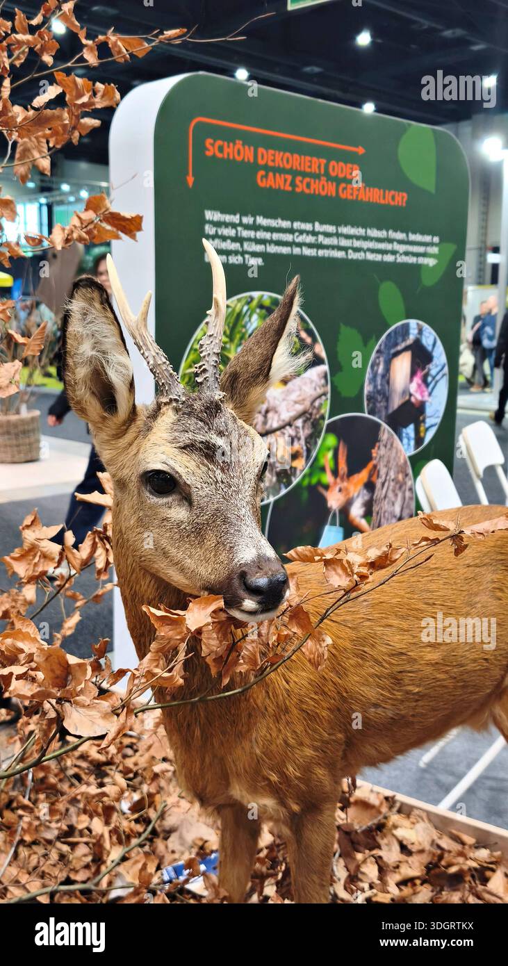 Berlin,18.01.2026,Grüne Woche, der Messestand des Deutschen ...